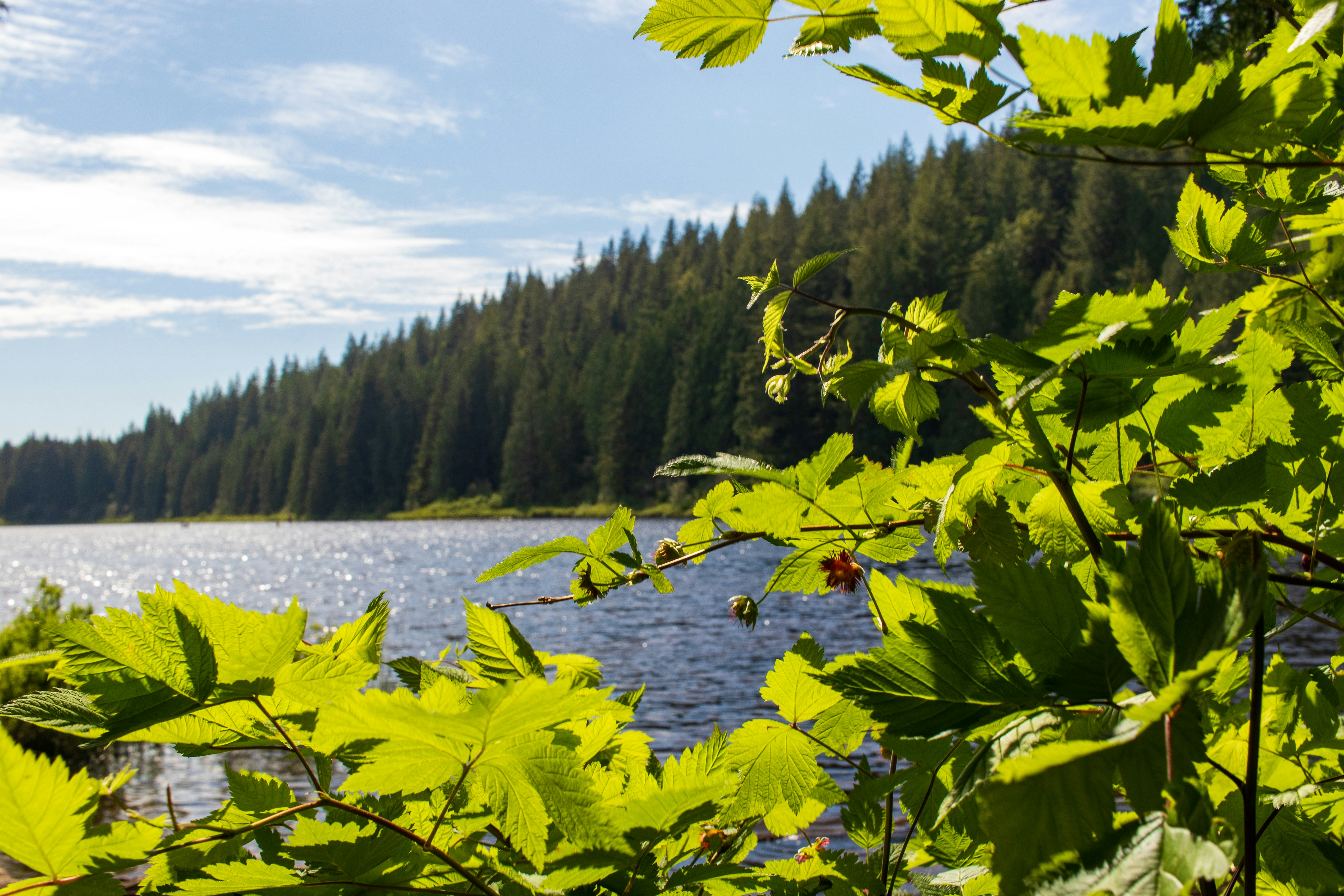 The Importance of Climate Resilience | SACRED Foundation